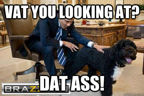 vat you looking at? dat ass! - obama dog - quickmeme