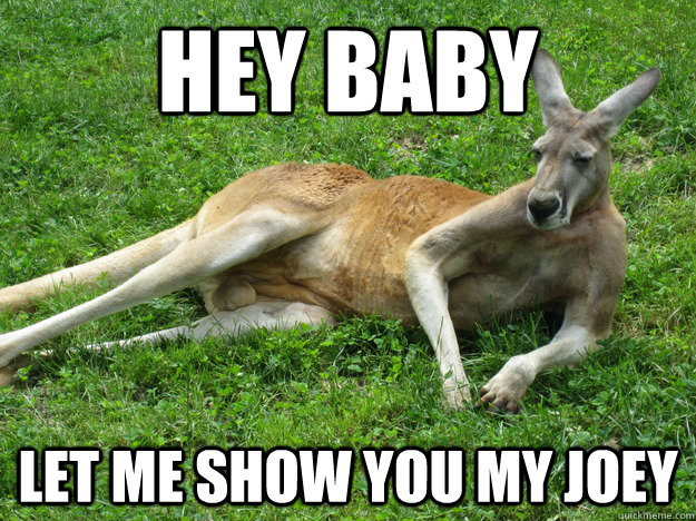 Hey Baby Let me show you my joey - Sexy Kangaroo - quickmeme