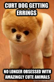Curt Dog Getting Errings No Longer Obsessed With Amazingly Cute Animals - Curt Dog - quickmeme