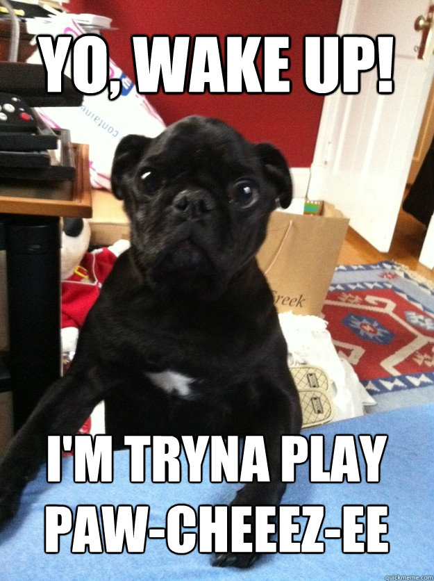 YO, WAKE UP! I'M TRYNA PLAY PAW-CHEEEZ-EE - Misc - quickmeme