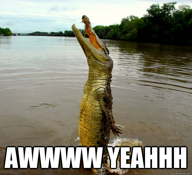 awwww yeahhh - F yeah Alligator - quickmeme