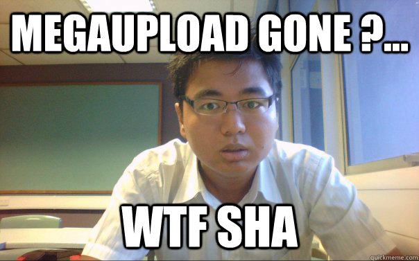 megaupload Gone ?... WTF SHA - wtf sha - quickmeme