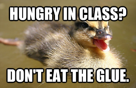HUNGRY IN CLASS? DON'T EAT THE GLUE. - Adolescent Advice Mallard - quickmeme