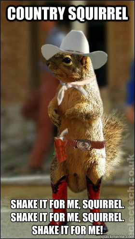 Country Squirrel memes | quickmeme
