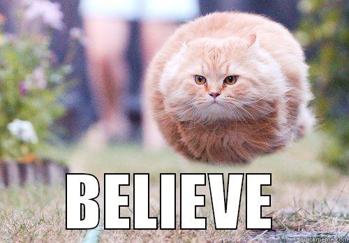 Puffer Cat Believe - quickmeme