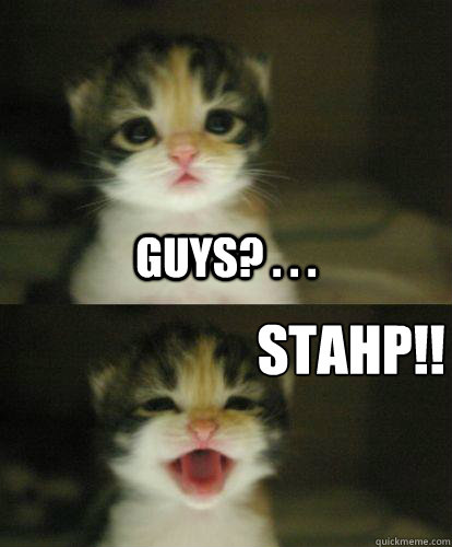 Guys? . . . Stahp!! - kitten stahp - quickmeme