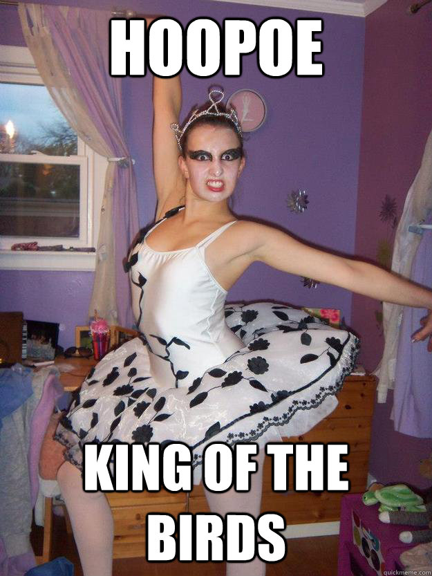 HOoPOE KING OF THE BIRDS - Misc - quickmeme