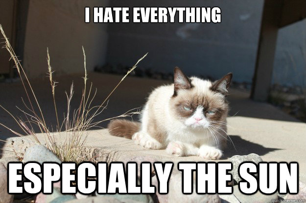 i hate everything especially the sun - Misc - quickmeme