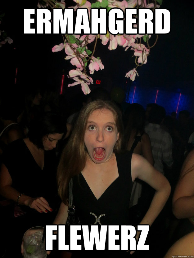 ERMAHGERD FLEWERZ - Drunk Ermahgerd - quickmeme