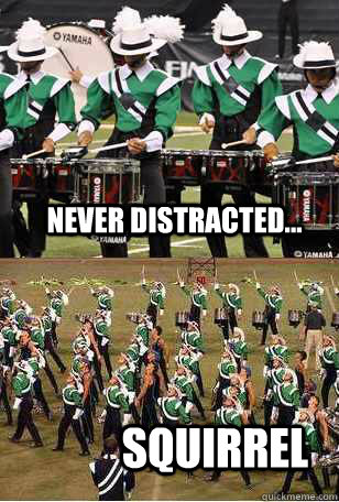 Never distracted... Squirrel - Drum Corps - quickmeme