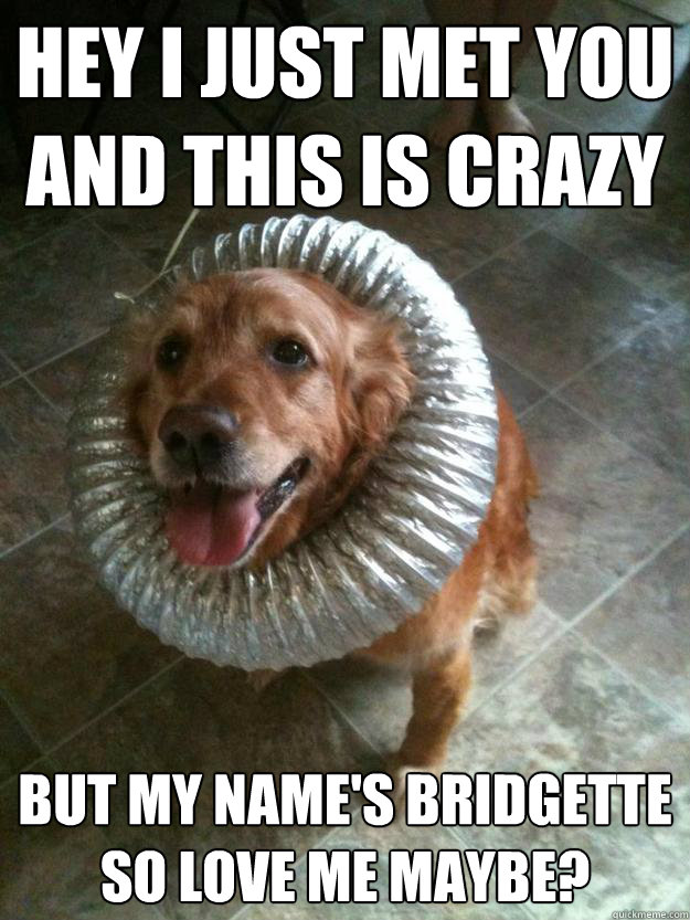 Hey I just met you And this is crazy But my name's Bridgette So love me ...