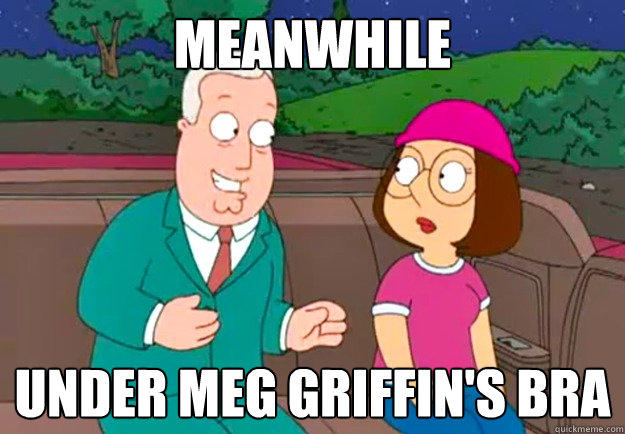 Meanwhile Under Meg Griffin's Bra - Meanwhile in Quahog... - quickmeme