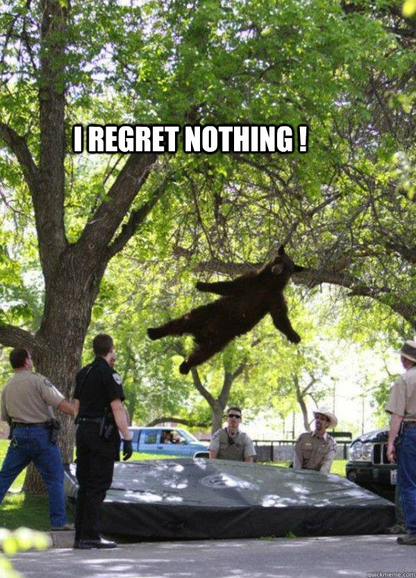 I REGRET NOTHING ! - bear jump - quickmeme