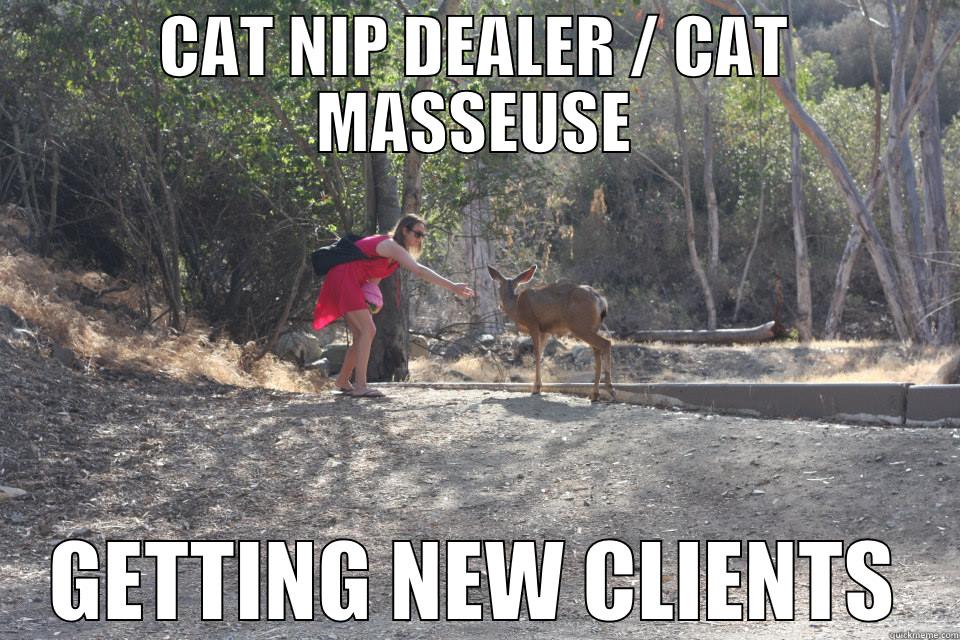 cat nip deer - quickmeme