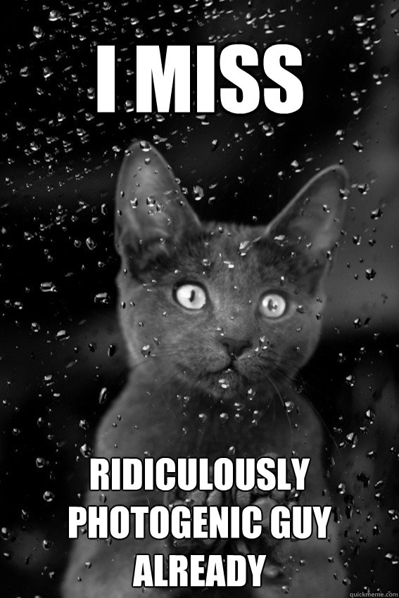 I miss Ridiculously Photogenic Guy already - Heartbroken Wistful Kitteh - quickmeme