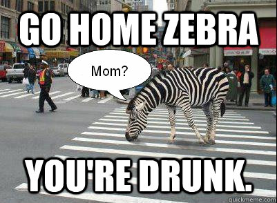 Go home zebra You're drunk. - Misc - quickmeme