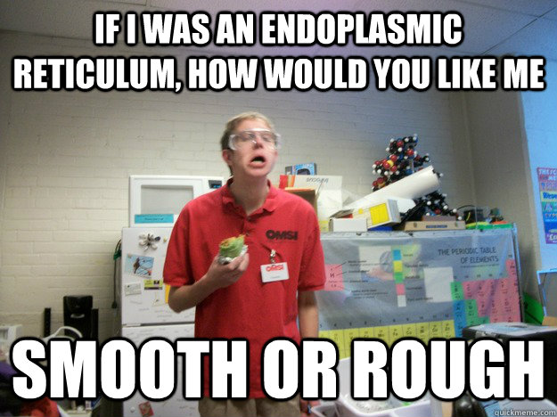 If i was an endoplasmic reticulum, how would you like me smooth or rough - Misc - quickmeme