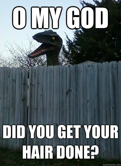 OMG Raptor memes | quickmeme