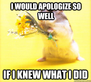 I Would apologize so well if i knew what i did - apologetic mouse - quickmeme