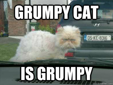 Grumpy cat is grumpy - Misc - quickmeme
