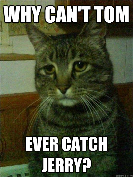 Why Can't Tom Ever Catch Jerry? - Misc - quickmeme