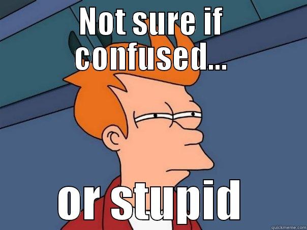 Futurama Fry memes | quickmeme