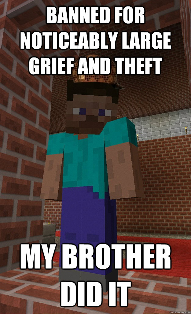 Minecraft Scumbag Steve memes | quickmeme