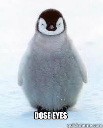 dose eyes - evil penguin - quickmeme