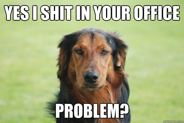 Yes I shit in your office Problem? - Careless Canine - quickmeme