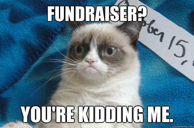 Fundraiser You re Kidding Me Fiscal Cliff Grumpy Cat Quickmeme
