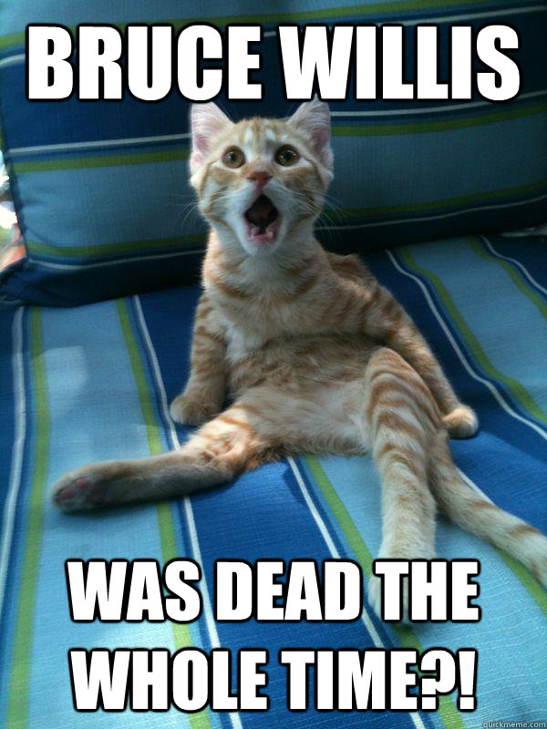 Genuinely Surprised Kitty memes | quickmeme