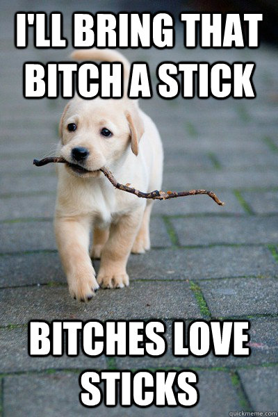 I'll bring that bitch a stick Bitches love sticks - Puppy stick - quickmeme