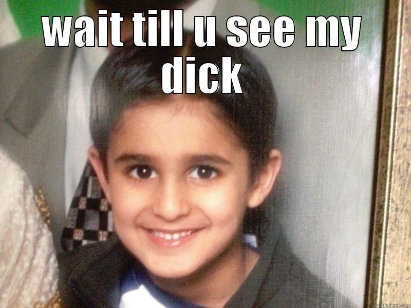 wait till u see my dick - quickmeme