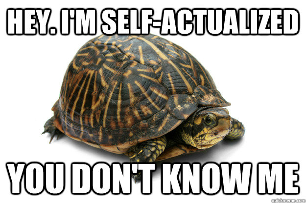 Self Actualization Memes The Funniest Hierarchy Of Needs Pyramid Memes