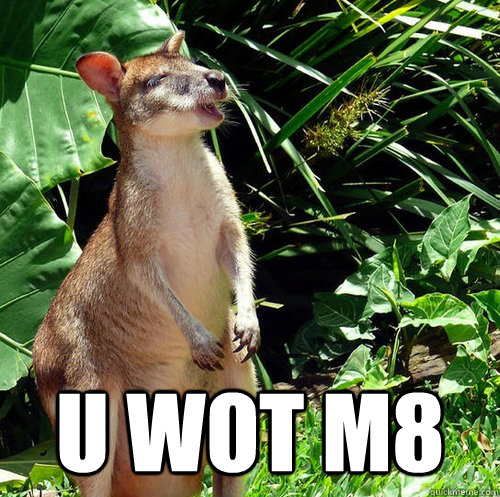 u wot m8 - Misc - quickmeme