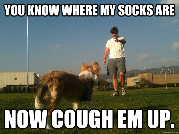 You know where my socks are Now cough em up. - Misc - quickmeme