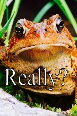 Really toad. - quickmeme