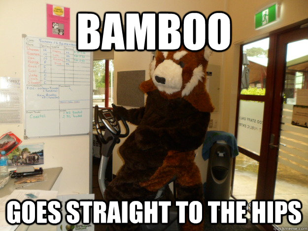 Bamboo Goes straight to the hips - Panda working out - quickmeme