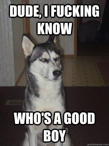 Dude, I fucking know who's a good boy - Misc - quickmeme