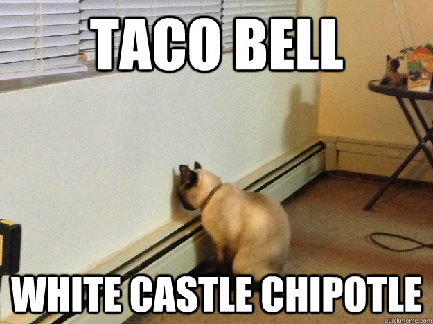 Taco Bell White Castle Chipotle - Regretful Cat - quickmeme