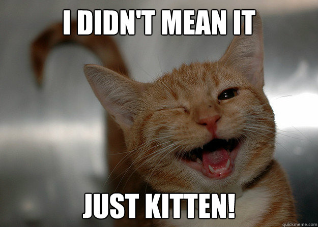 i didn't mean it Just kitten! - Winking kitten - quickmeme