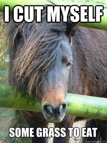 Misunderstood emo horse memes | quickmeme