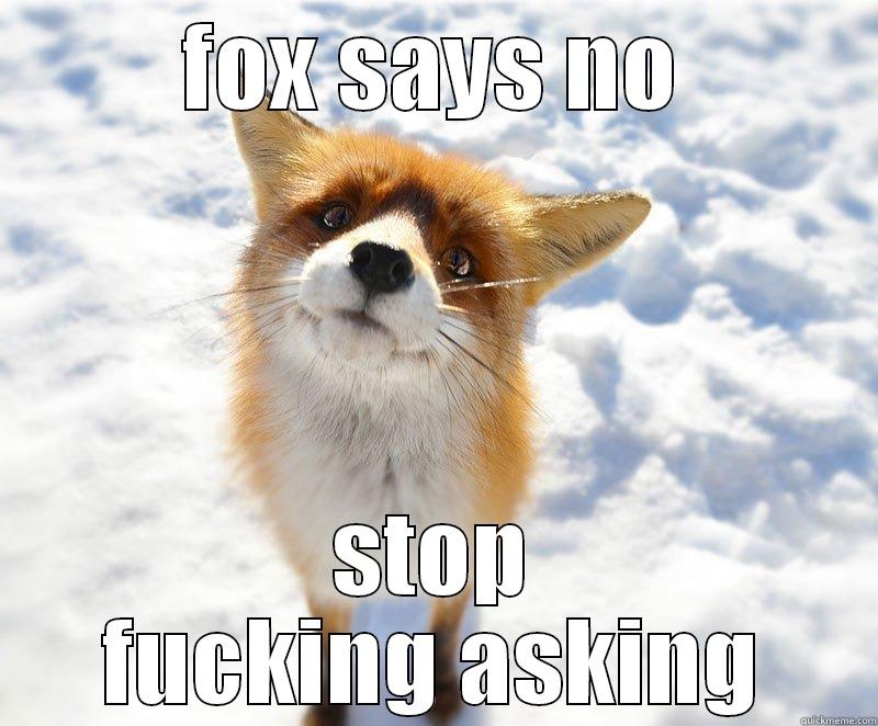 What Does the Fox Say? - quickmeme