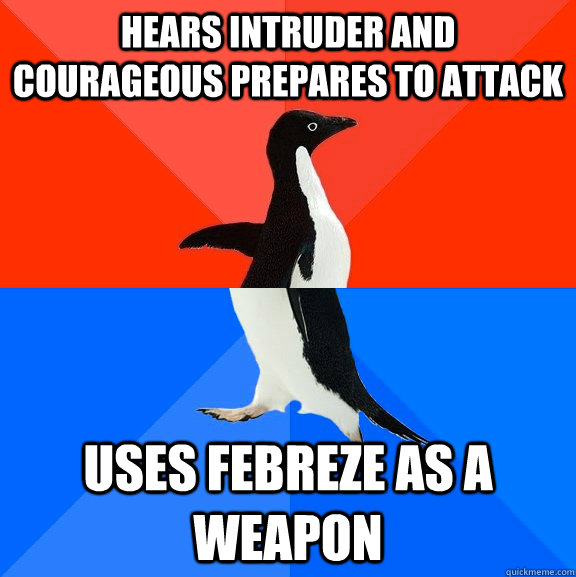 Hears intruder and courageous prepares to attack Uses Febreze as a weapon - Socially Awesome ...