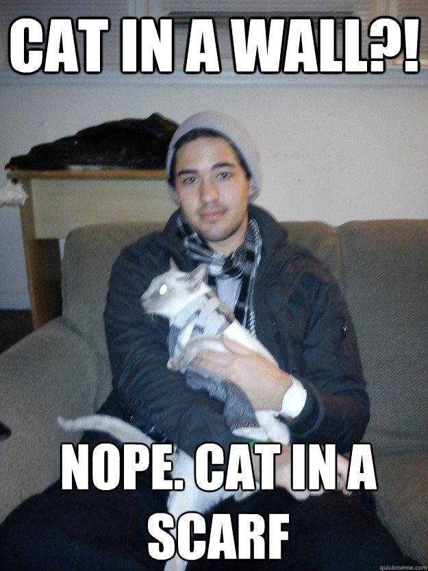 Cat in a wall?! Nope. Cat in a scarf - Hipster and Cat - quickmeme
