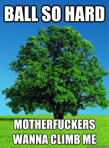 ball so hard motherfuckers wanna climb me - ballin tree - quickmeme