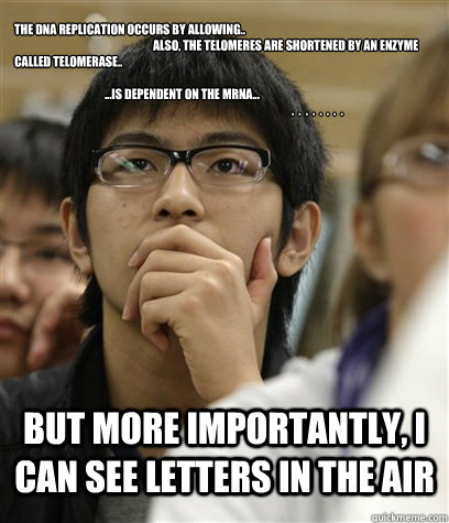 the DNA replication occurs by allowing..