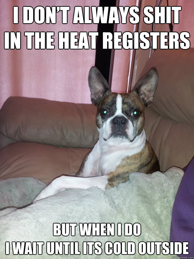 I DON’T ALWAYS SHIT IN THE HEAT REGISTERS BUT WHEN I DO I WAIT UNTIL ITS COLD OUTSIDE - Most ...