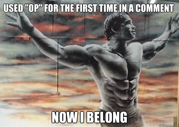 Used "op" For The first time in a comment now i belong - The Road To Reddit Glory - quickmeme