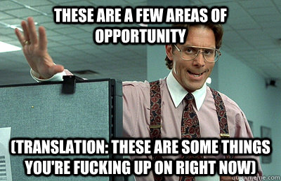 these are a few areas of opportunity (translation: these are some things you're fucking up on ...